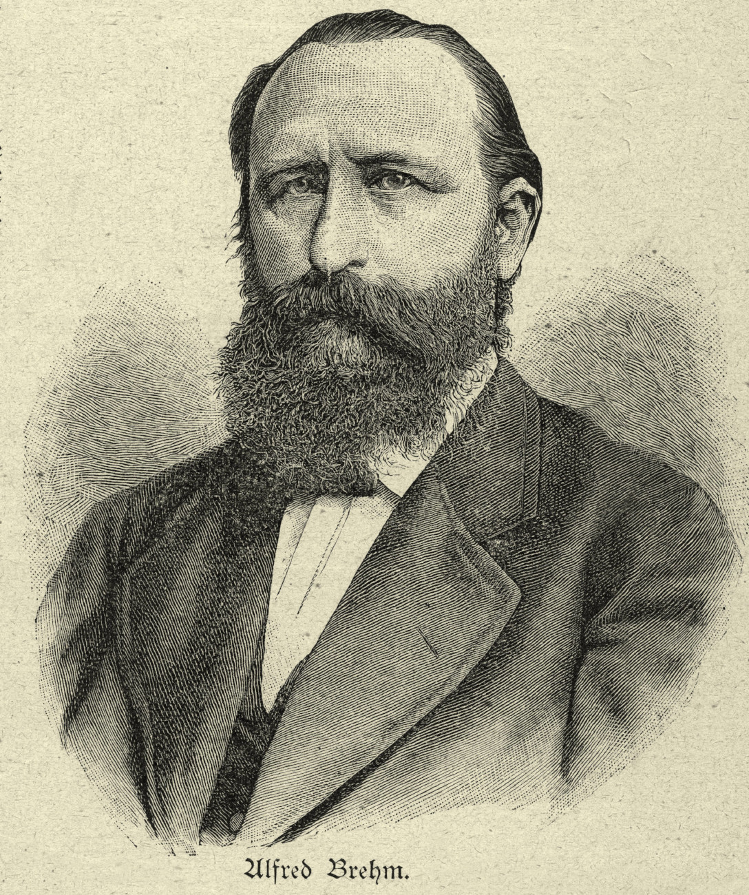 Альфред Брем: жизнь замечательных животных - Федеральное министерство ...